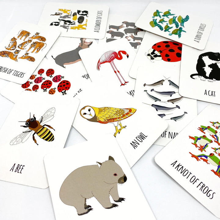 The Collective Noun Memory Game – QVMAG Shop