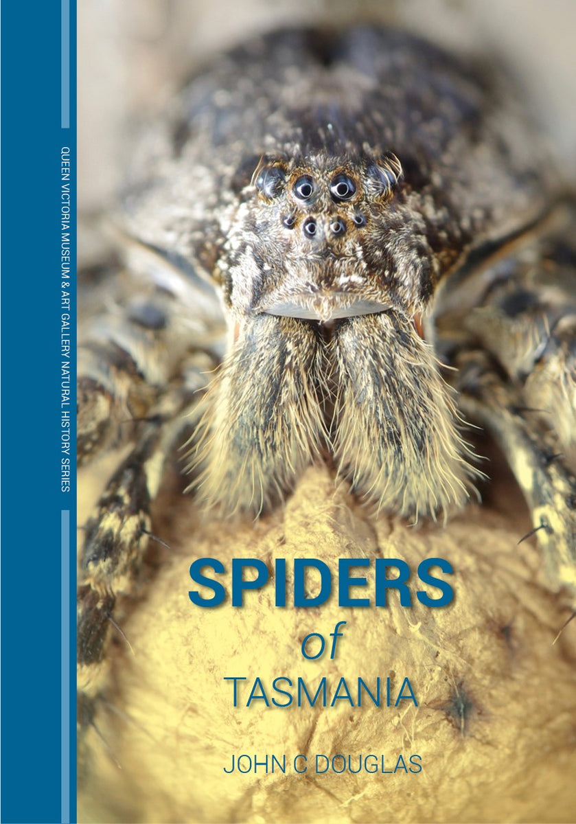 Spiders of Tasmania – QVMAG Shop